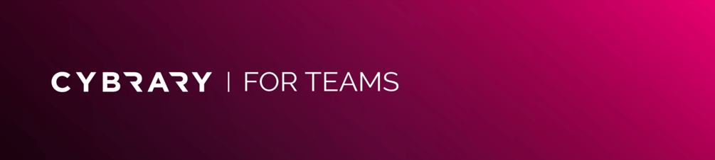 Cybrary for Teams: Roles & Permissions - Organization Owner