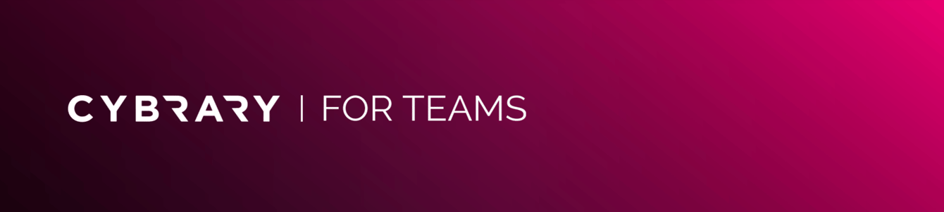 Cybrary for Teams: Roles & Permissions - Organization Owner